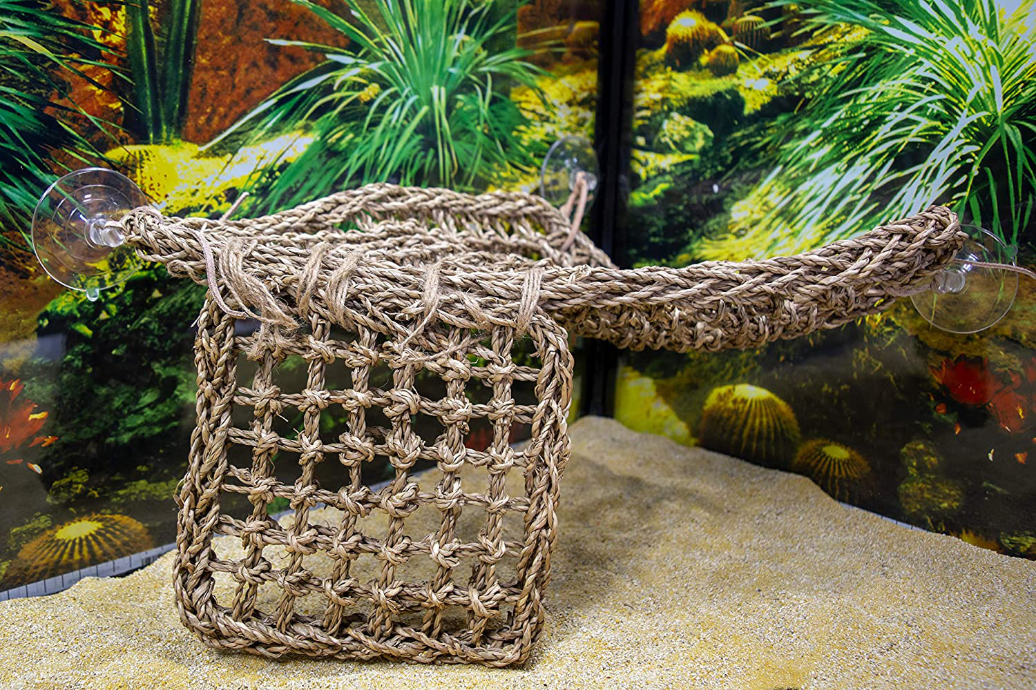 Penn Plax Reptology Large Lizard Lounger Corner Triangle with Ladder ...