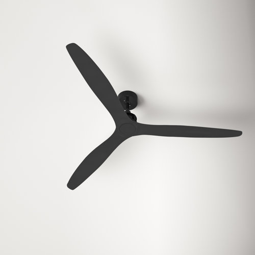 Modern Black Blades Ceiling Fans | AllModern