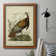 The Holiday Aisle® Audubon Wild Turkey - Picture Frame Painting on ...