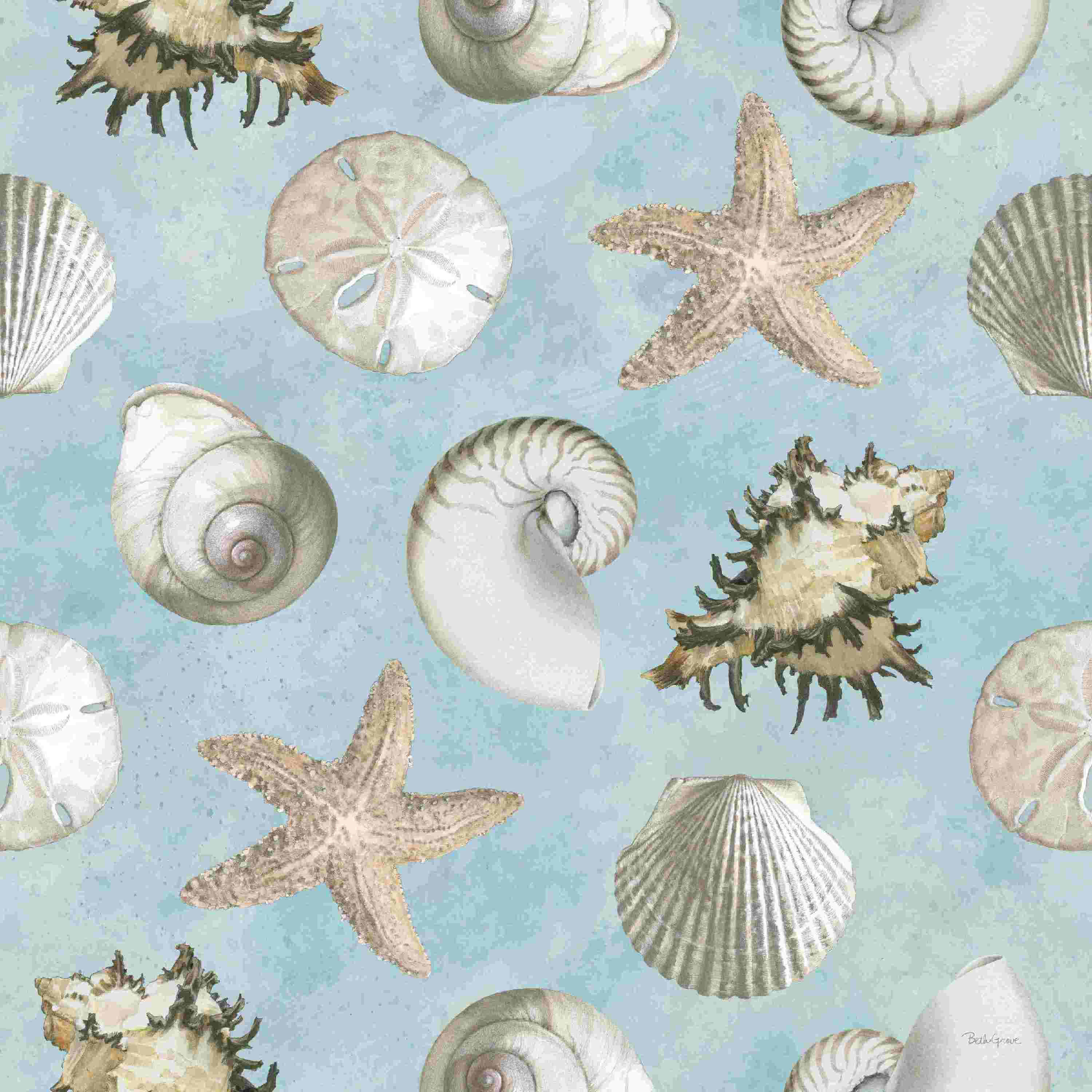 Highland Dunes Sandy Shells Blue Shell Toss by Beth Grove - on | Wayfair