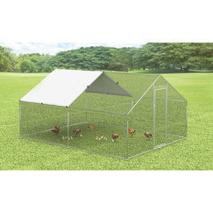 Wayfair | Extra Large Chicken Runs You'll Love in 2023