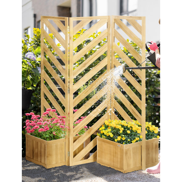 Gracie Oaks Taneice 65'' H x 62.25'' W Wood Folding Trellis | Wayfair