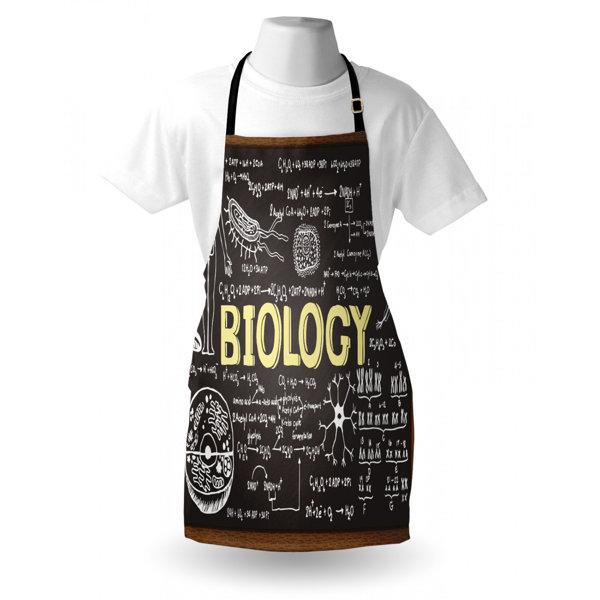 Bless international Educational Apron | Wayfair