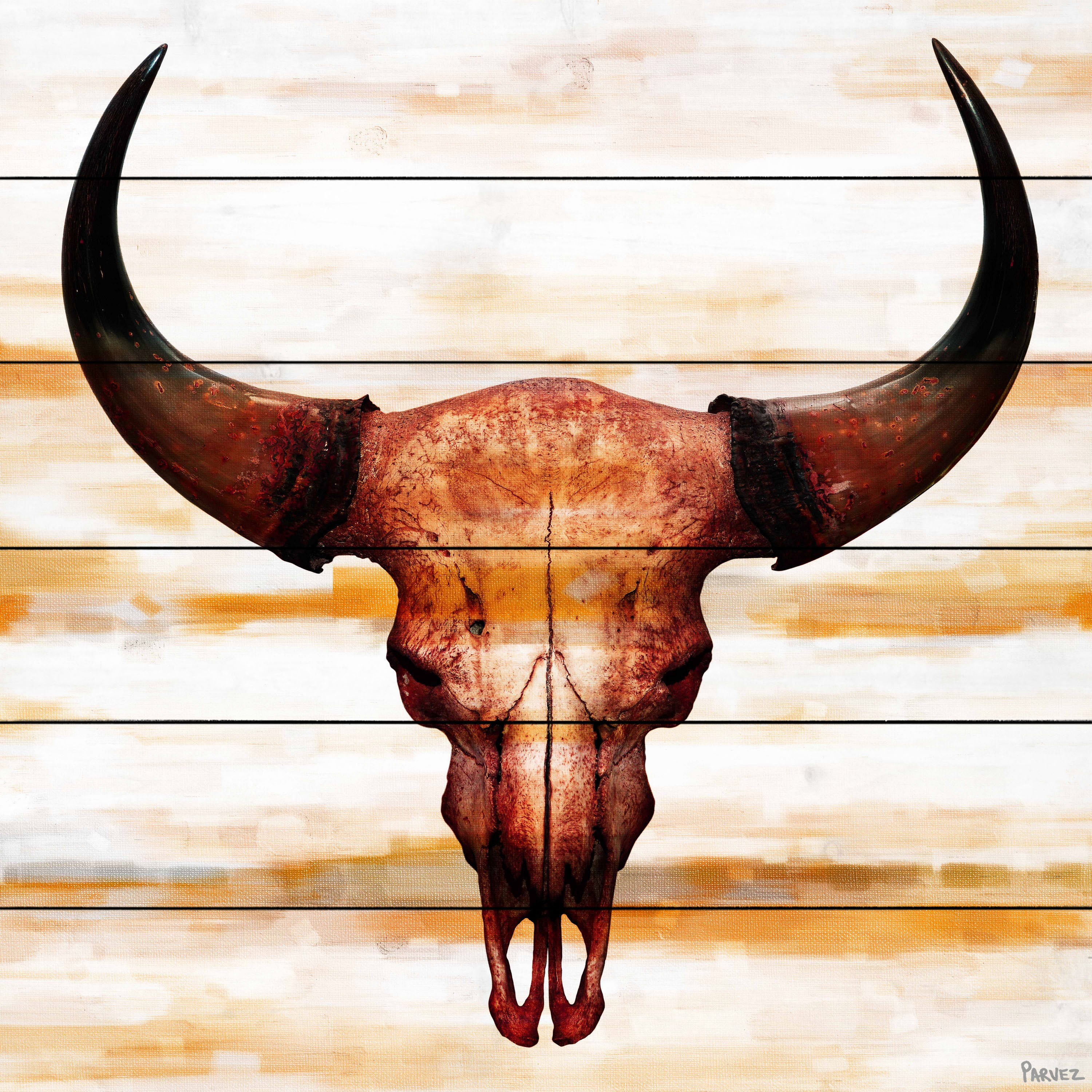 Gracie Oaks Farmhouse Burnt Orange Skull by Parvez Taj - Photograph on ...