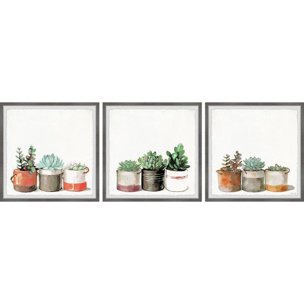 Marmont Hill A Cup Of Cactus by - 3 Piece Picture Frame Painting Set ...