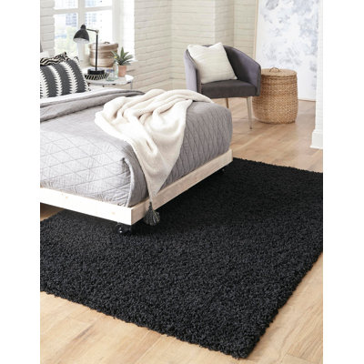 Ebern Designs Santoshi Performance Jet Black Rug & Reviews | Wayfair