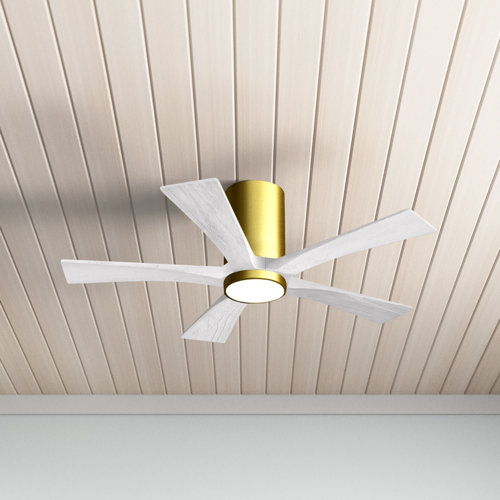 Modern Small Room Ceiling Fans | AllModern