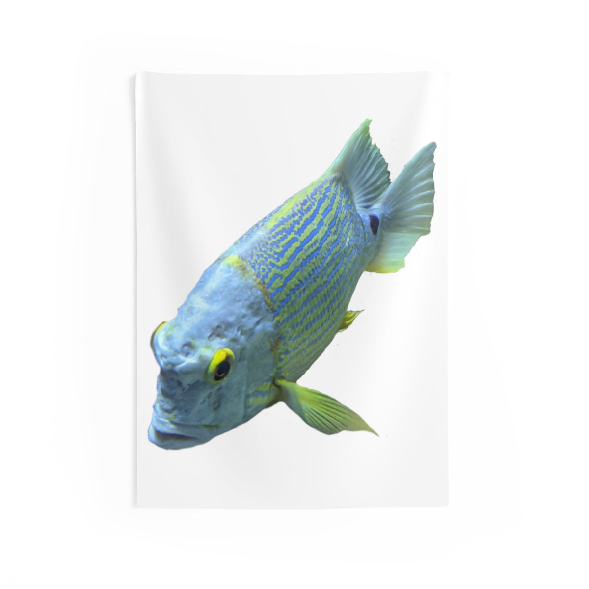 Marick Booster Light Blue Fish Indoor Wall Tapestries | Wayfair
