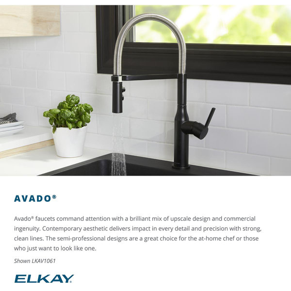 Elkay Avado Pull Down Kitchen Faucet & Reviews | Wayfair