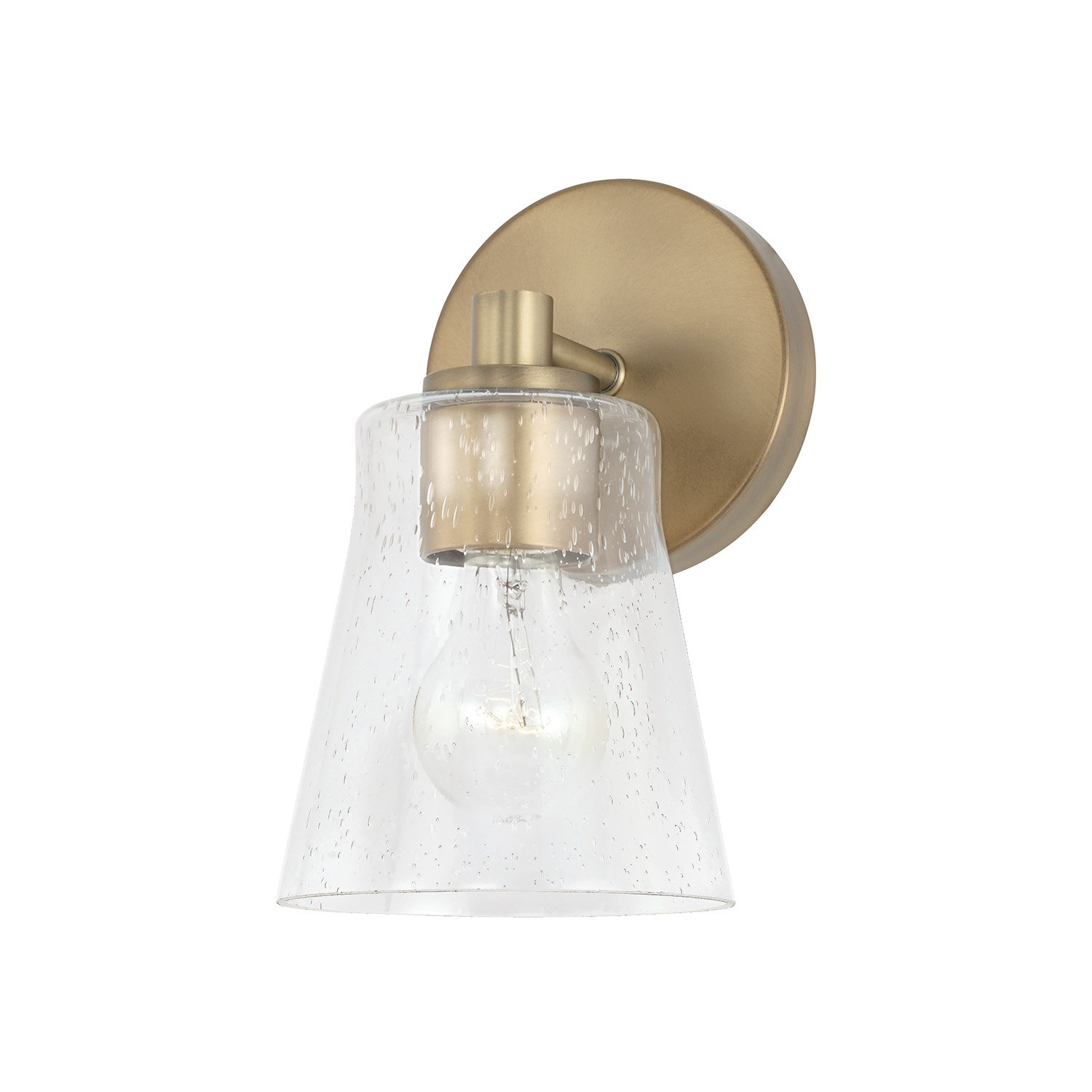 Capital Lighting Steel Armed Sconce | Wayfair