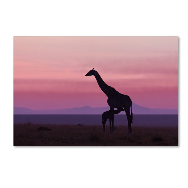 Good-morning | Wayfair