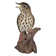 Hi-Line Gift Ltd. Songbird Standing on Stump Statue & Reviews | Wayfair