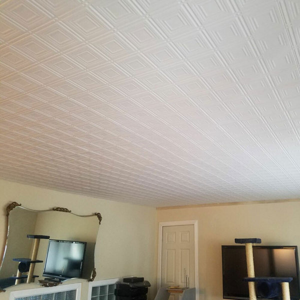 FromPlainToBeautifulInHours Shanko 2 ft. x 2 ft. Nail-Up Tin Ceiling ...