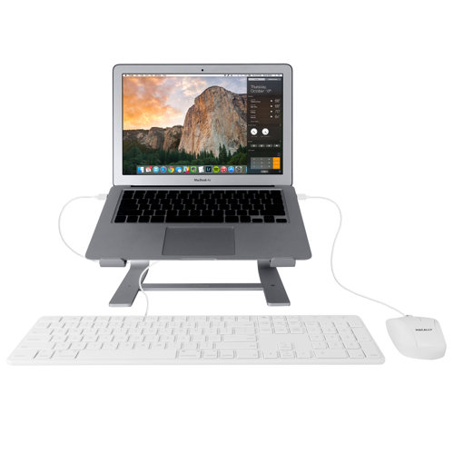 Macally Eye-Level Laptop Stand & Reviews | Wayfair