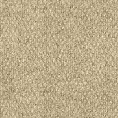 4urFloor Hobnail 18 x 18 Level Loop Carpet Tile & Reviews | Wayfair