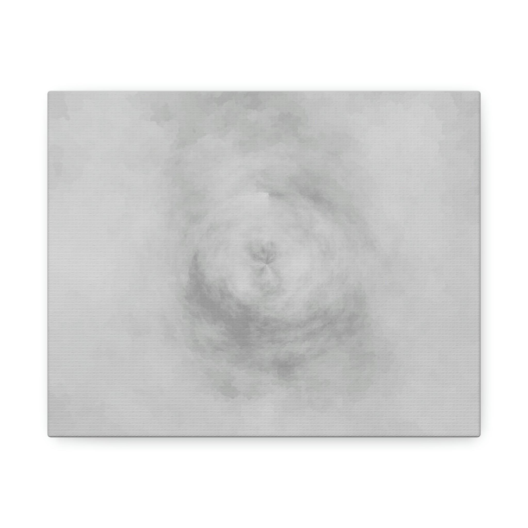 Brayden Studio® Illusion Stretched - Wrapped Canvas Drawing Print | Wayfair
