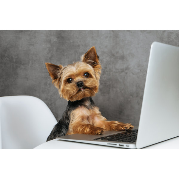 Ebern Designs Dog At Computer Laptop Yorkshire Terrier by Pixelliebe ...
