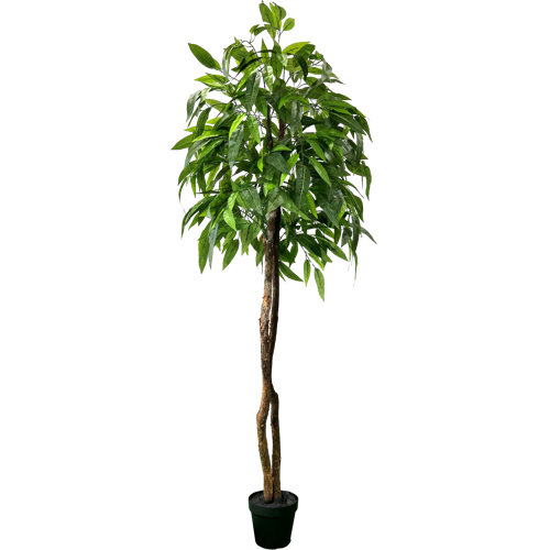 Primrue Hand-Made Primrue All Seasons 6'' Artificial Mango Tree | Wayfair
