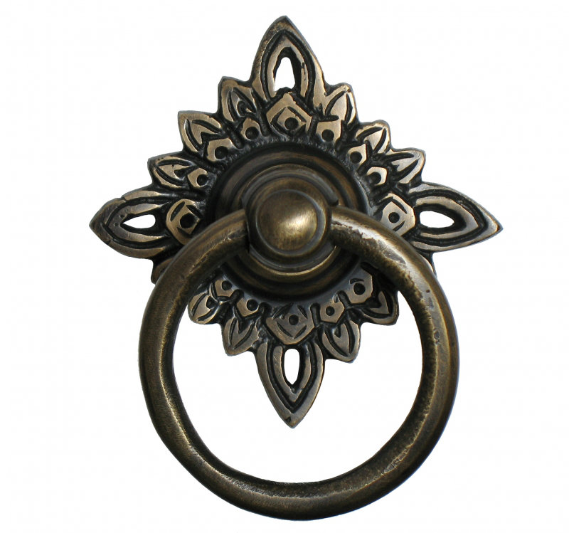 Gado Gado Hardware Filigree Star Backplate Ring Pull & Reviews | Wayfair