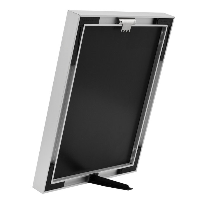 Framatic Fineline Metal Picture Frame & Reviews | Wayfair
