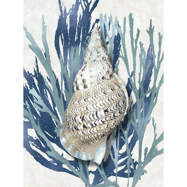 Highland Dunes Shell Coral Aqua Blue I by - Wrapped Canvas Print | Wayfair