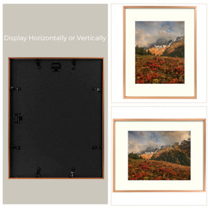 Kelly Clarkson Home Ryleigh Metal Gallery Picture Frame Real Glass Wall ...