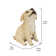 Hi-Line Gift Ltd. Howling Yellow Labrador puppy | Wayfair