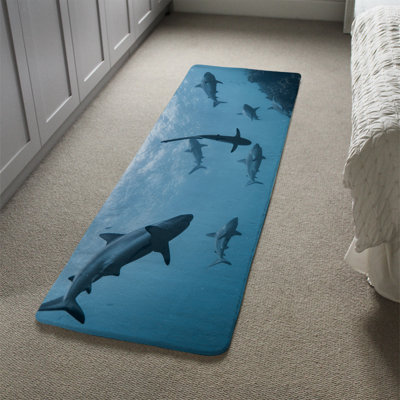 East Urban Home Jacaden Schooling Reef Sharks, Ningaloo Reef, Western ...