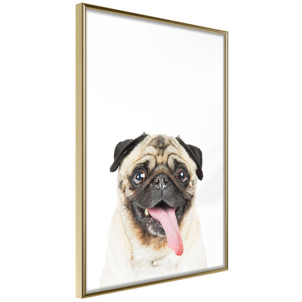 Maturi Funny Pug - Picture Frame Photograph | Wayfair.co.uk
