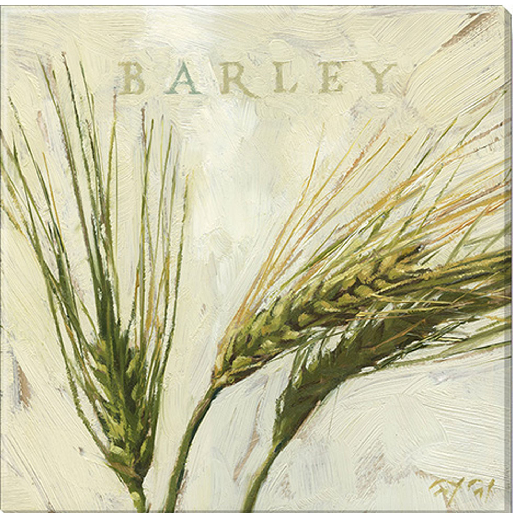 Darren Gygi Home Collection Barley Giclee Wall Art by Darren Gygi ...