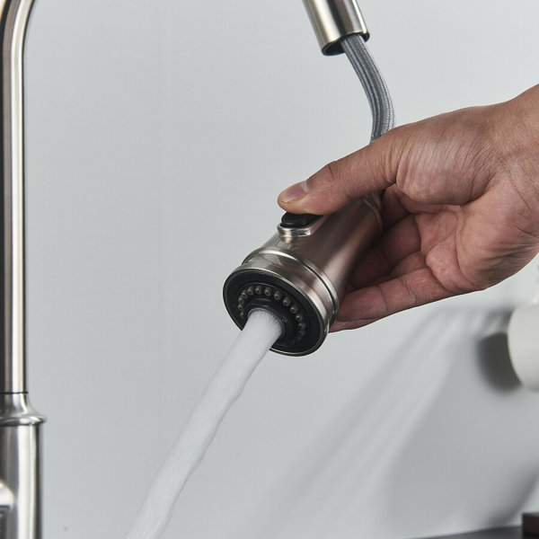 Rozin Pull Down Touch Kitchen Faucet - Wayfair Canada