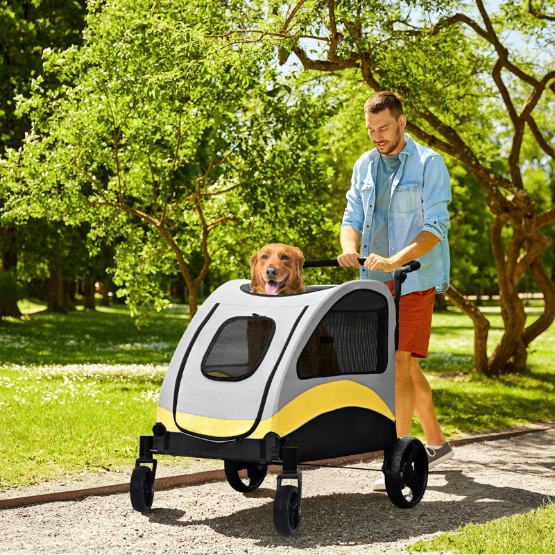 BingoPaw Folding Standard Stroller & Reviews | Wayfair