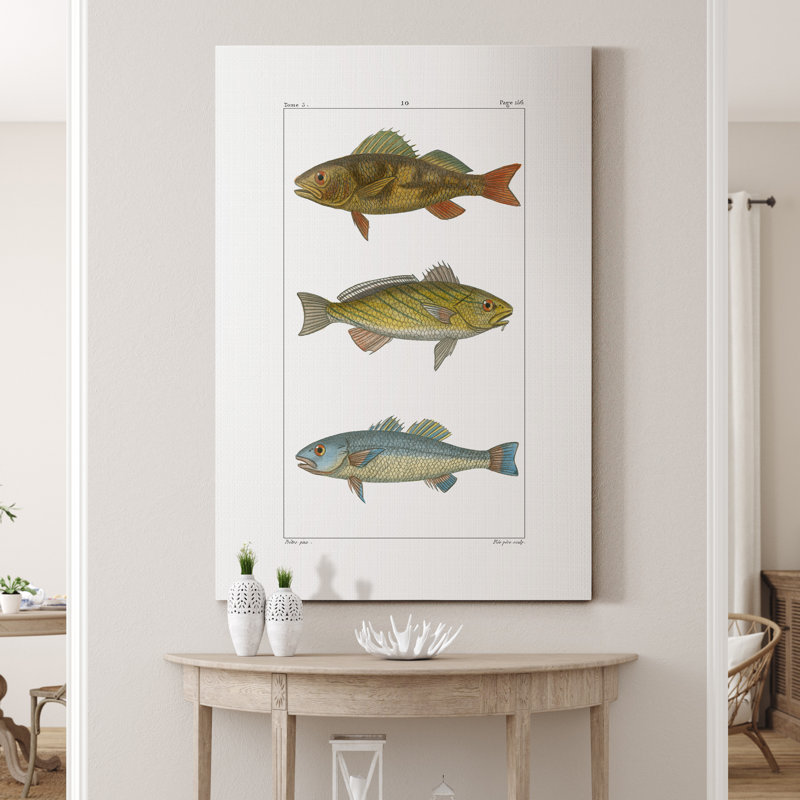Highland Dunes Freshwater Fish I On Canvas Print | Wayfair