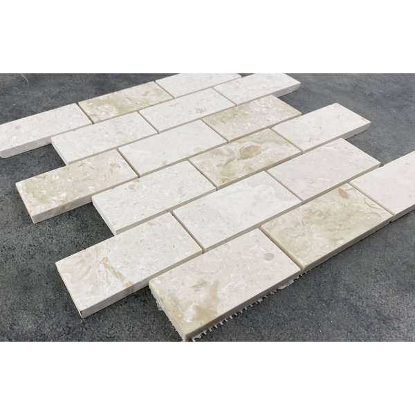 Miletos Stone Collection Shellstone 2" x 4" Travertine Mosaic Tile ...
