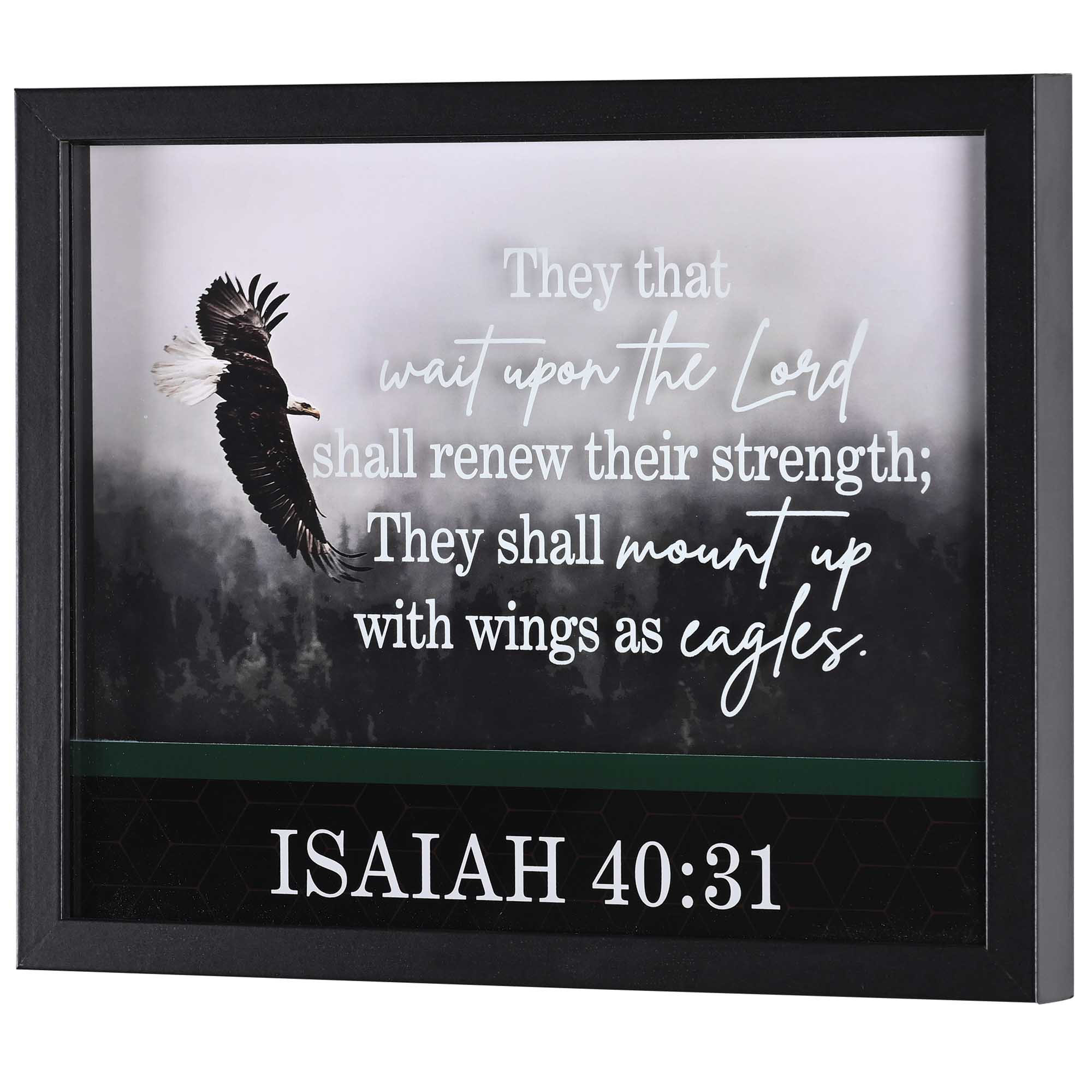 Trinx Eagle Isaiah 40:31 14X11 - Shadow Box Textual Art on MDF | Wayfair