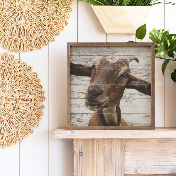 August Grove® Friendly Goat - Picture Frame Graphic Art on Wood ...