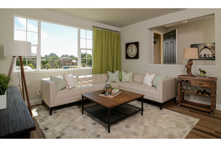 5 Things to Consider When Designing Your Living Room | Wayfair