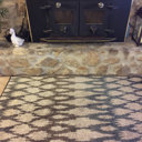 Dakota Fields Ferreira Power Loom Performance Beige/Blue Rug & Reviews ...