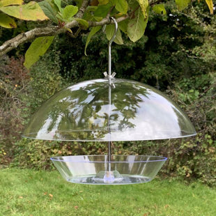 Bird Feeders, Bird Tables & Bird Feeding Boxes | Wayfair.co.uk