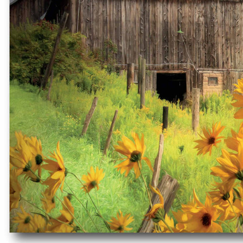 August Grove® Farm & Sunflower - Wrapped Canvas Photograph & Reviews ...