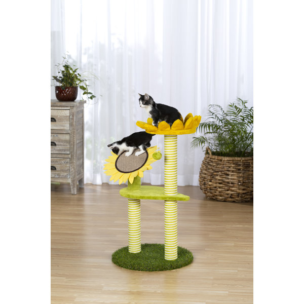 Archie & Oscar™ 36" Chassidy Sunflower Cat Tree | Wayfair
