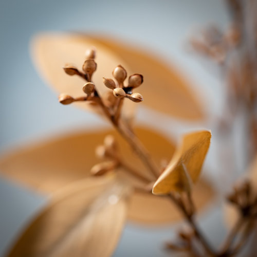 Birch Lane™ 33.5" Soft Eucalyptus | Wayfair