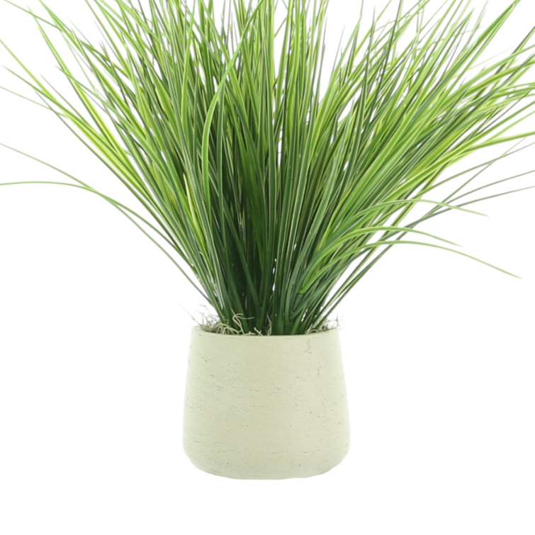 Creative Displays, Inc. Grass Arrangement In Fiberstone Pot | Perigold