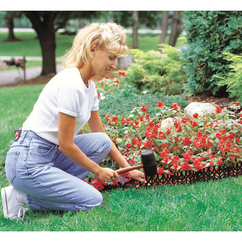 EMSCO Group Choppers Elegant Lawn Edging & Reviews | Wayfair