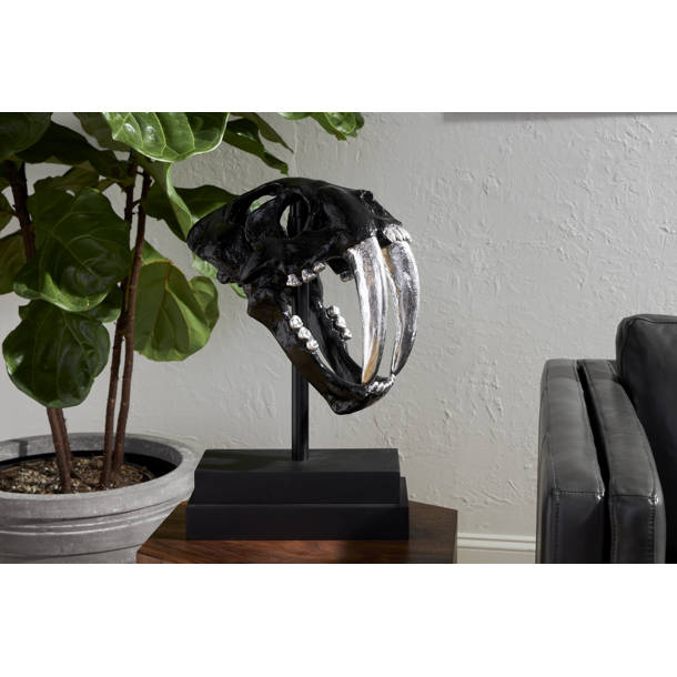 Phillips Collection Saber Tooth Tiger Skull | Wayfair