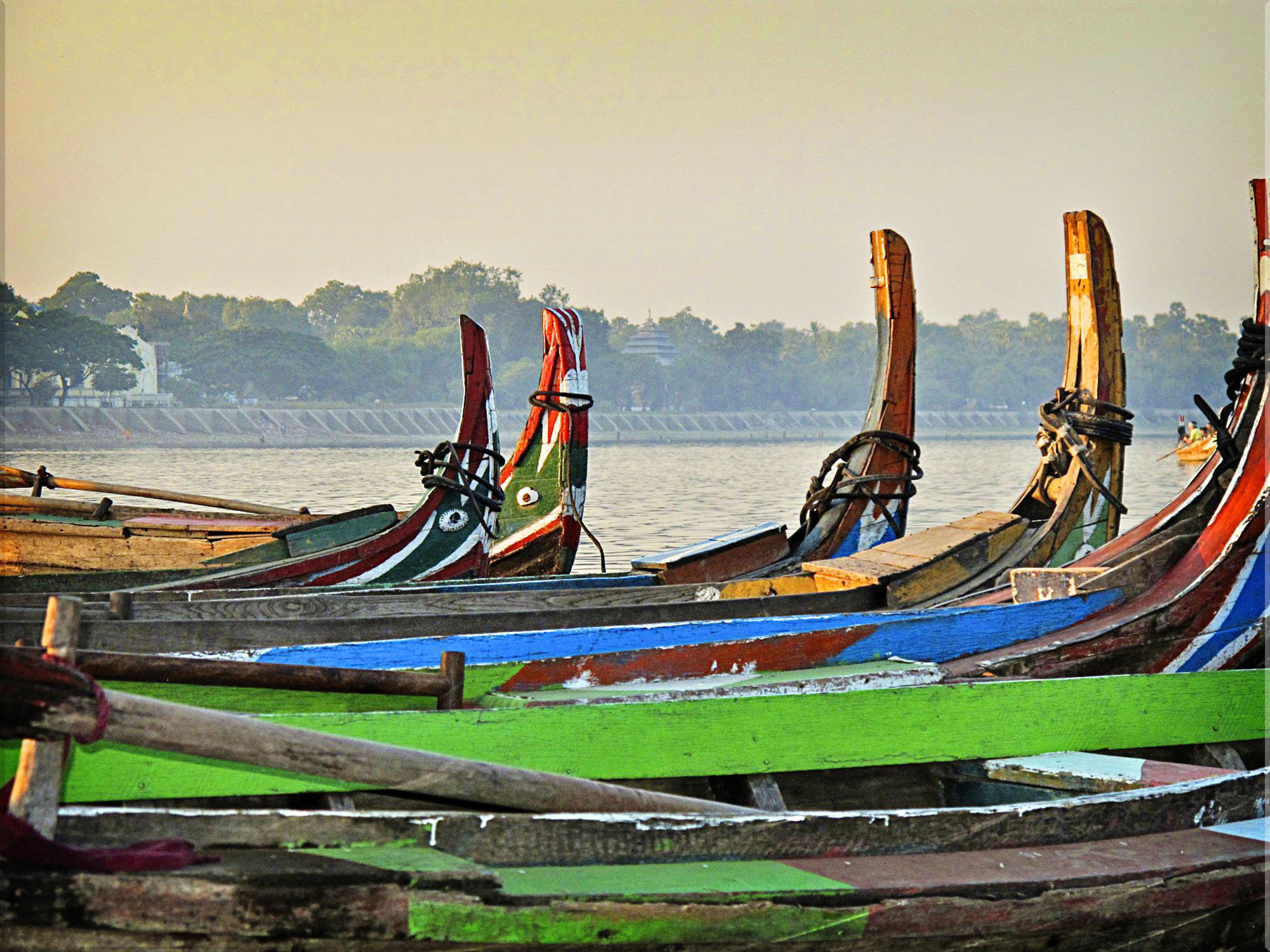 RFA Decor Larry Laslo Photograph 4 On Canvas by Larry Laslo Photograph ...