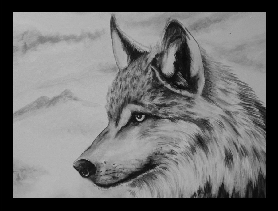 Loon Peak® Wolf - Picture Frame Print | Wayfair