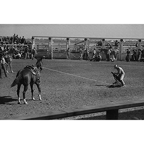 Latitude Run® Roping Contest - Gallery Wrapped 32"X48" Canvas Pr Roping ...