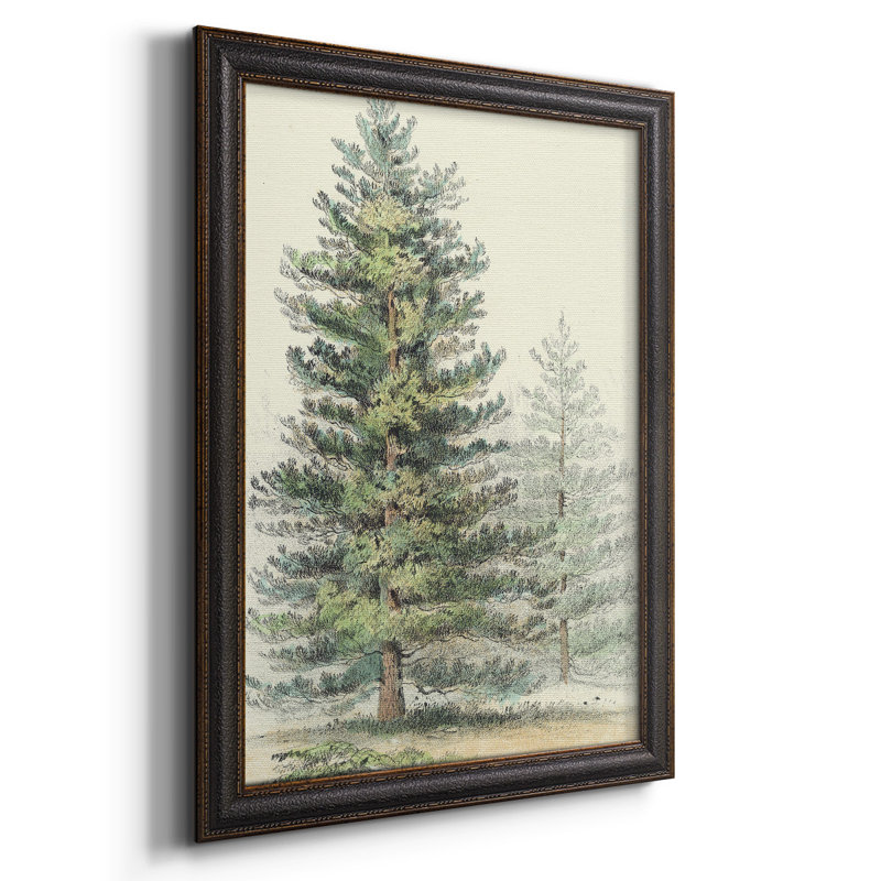 Millwood Pines Majestic Pine I Framed On Canvas Print | Wayfair