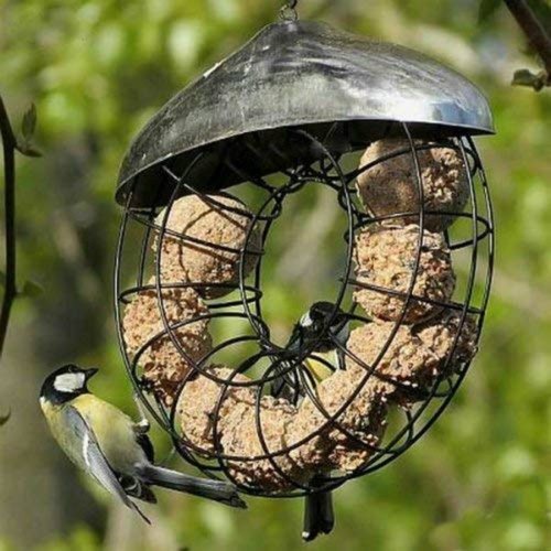 Bird Feeders, Bird Tables & Bird Feeding Boxes | Wayfair.co.uk